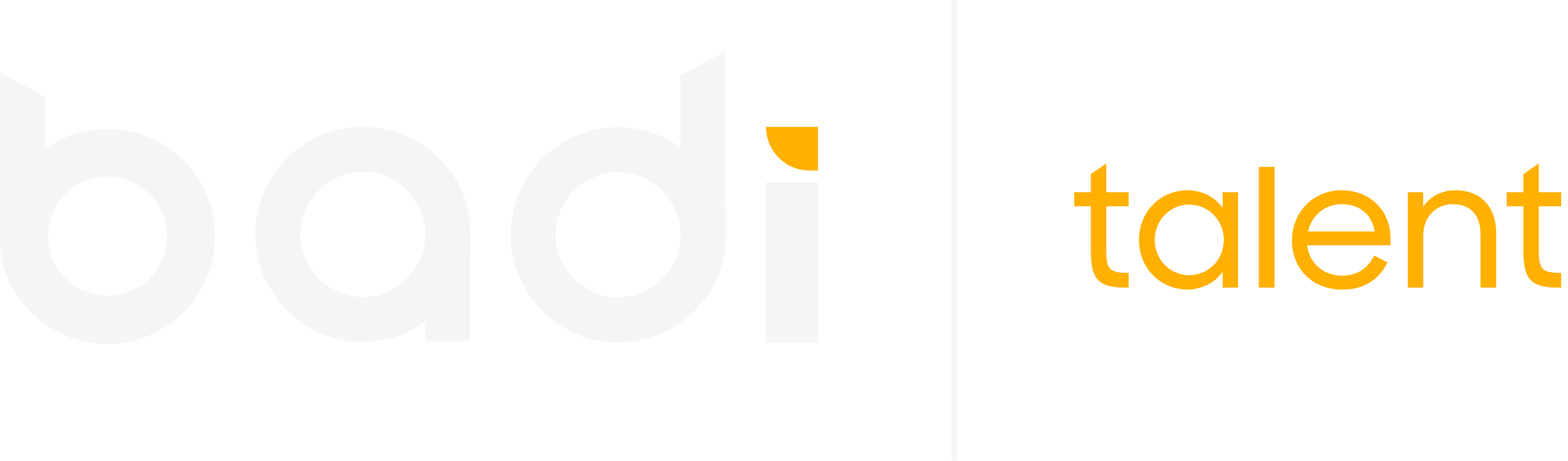 Badi Company - Ana Sayfa